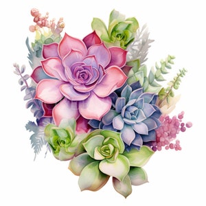 Succulent Plants Clipart Bundle 20 High Quality Png,watercolor Floral ...