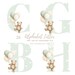 Nursery Green Alphabet Letter Clipart Bundle 26 High Quality PNG ...