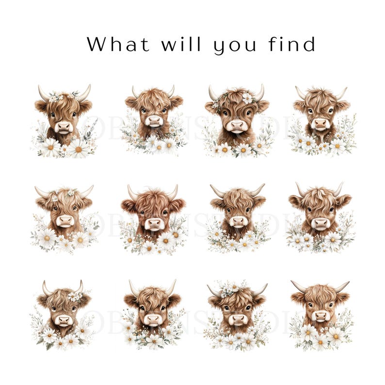 Flower Highlander Clipart PNG Bundle 12 High Quality,watercolor ...