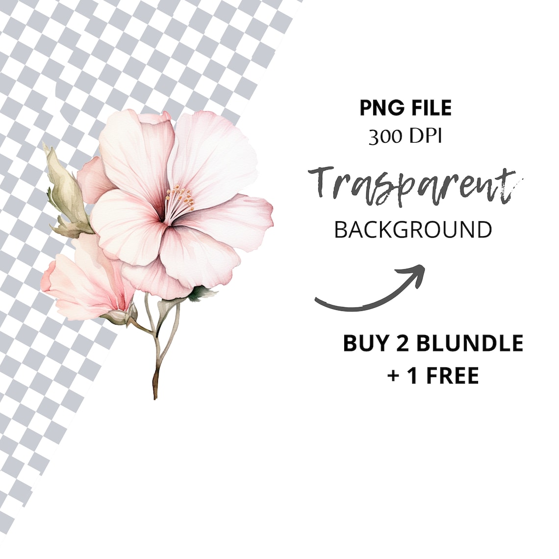Pink Flower Clipart Bundle 15 High Quality PNG, Watercolor Pink Flower ...