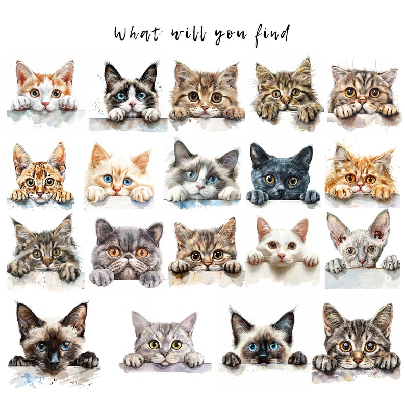 Watercolor Funny Cats Clipart PNG Bundle 19 High Quality Png,crazy Cute ...
