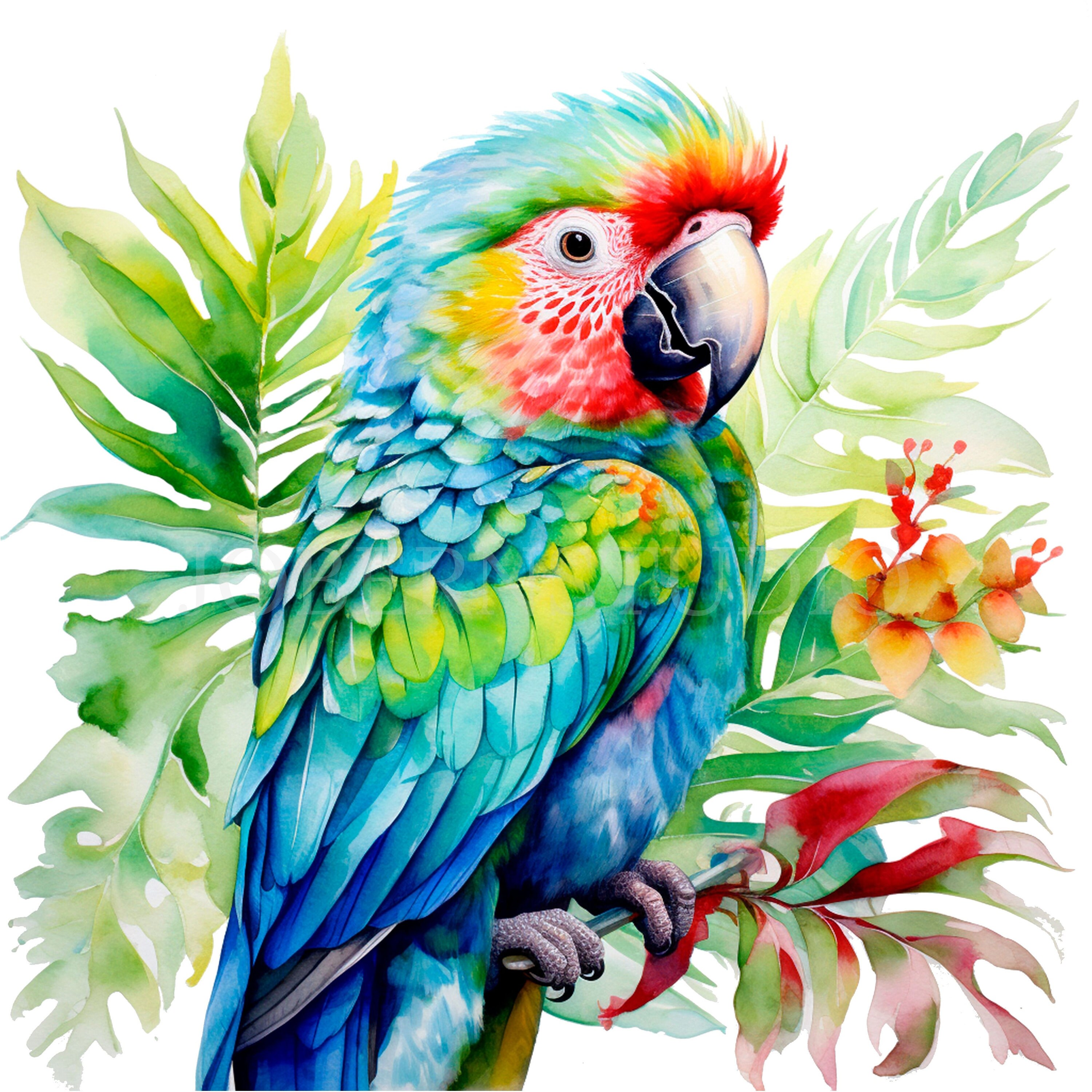 Parot Clipart PNG Bundle 15 High Quality Jpg,watercolor Tropical Bird ...