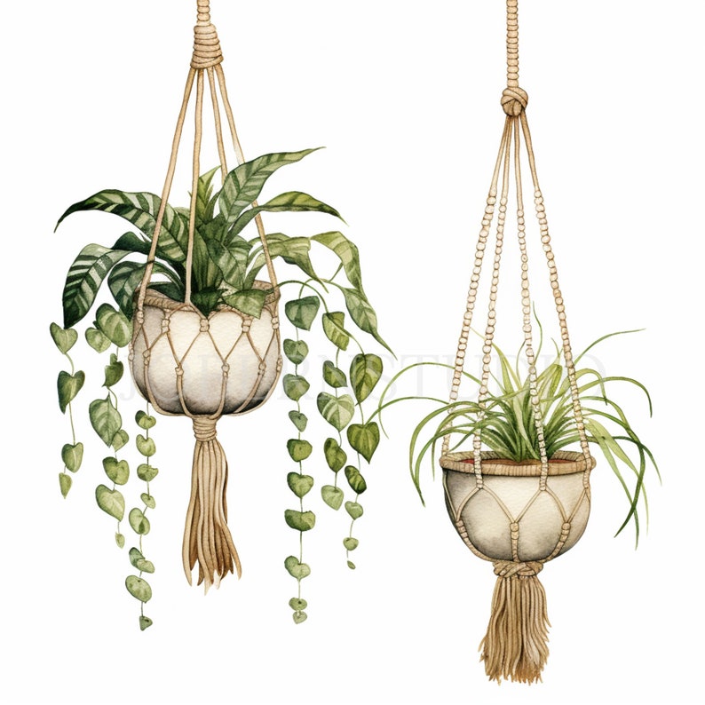 Hanging Plants Clipart Bundle 10 High Quality Png,watercolor Floral ...