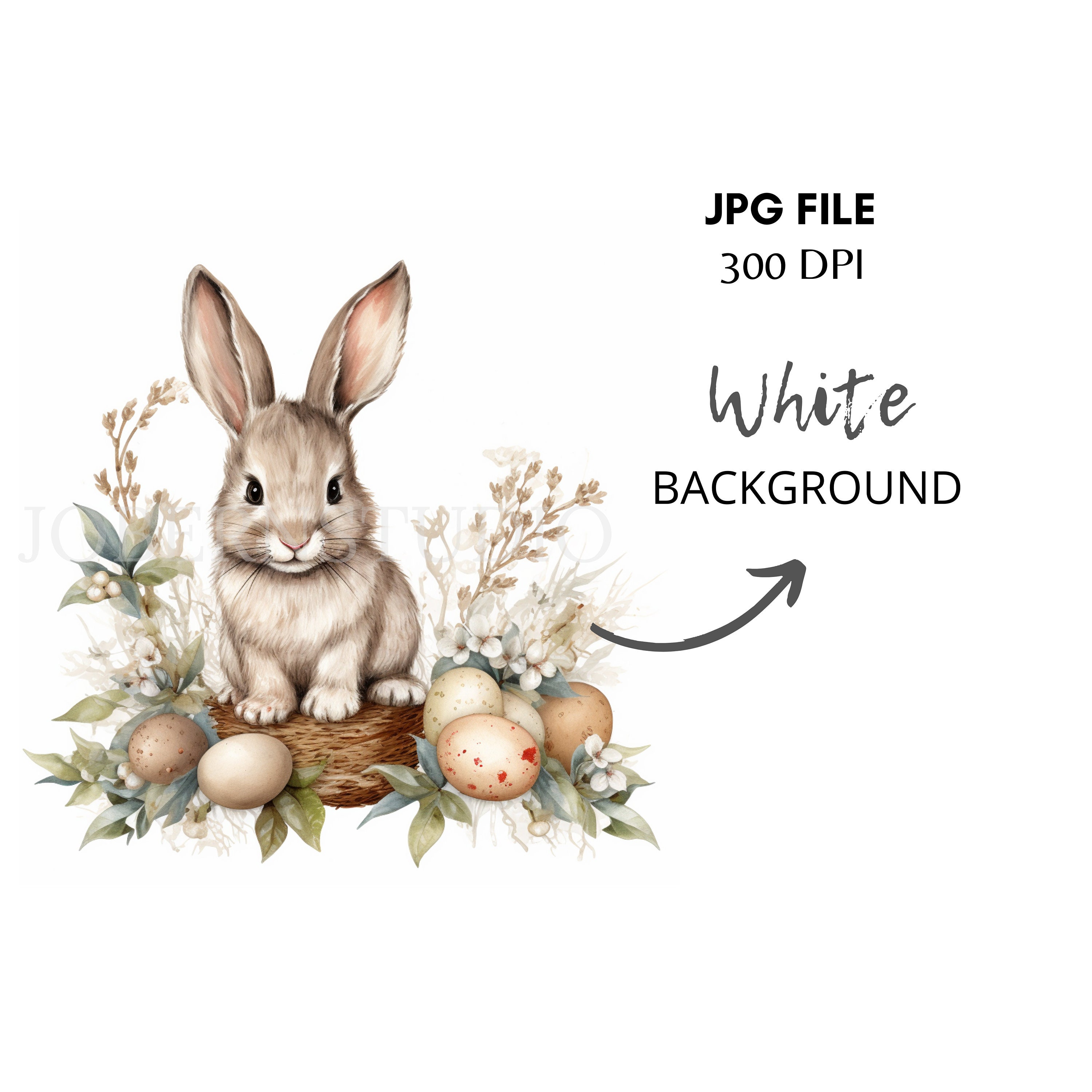 Easter Bunny Rustic Clipart PNG Bundle 15 High Quality JPG, Watercolor ...