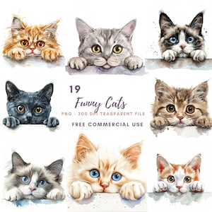 Watercolor Funny Cats Clipart PNG Bundle 19 High Quality Png,crazy Cute ...