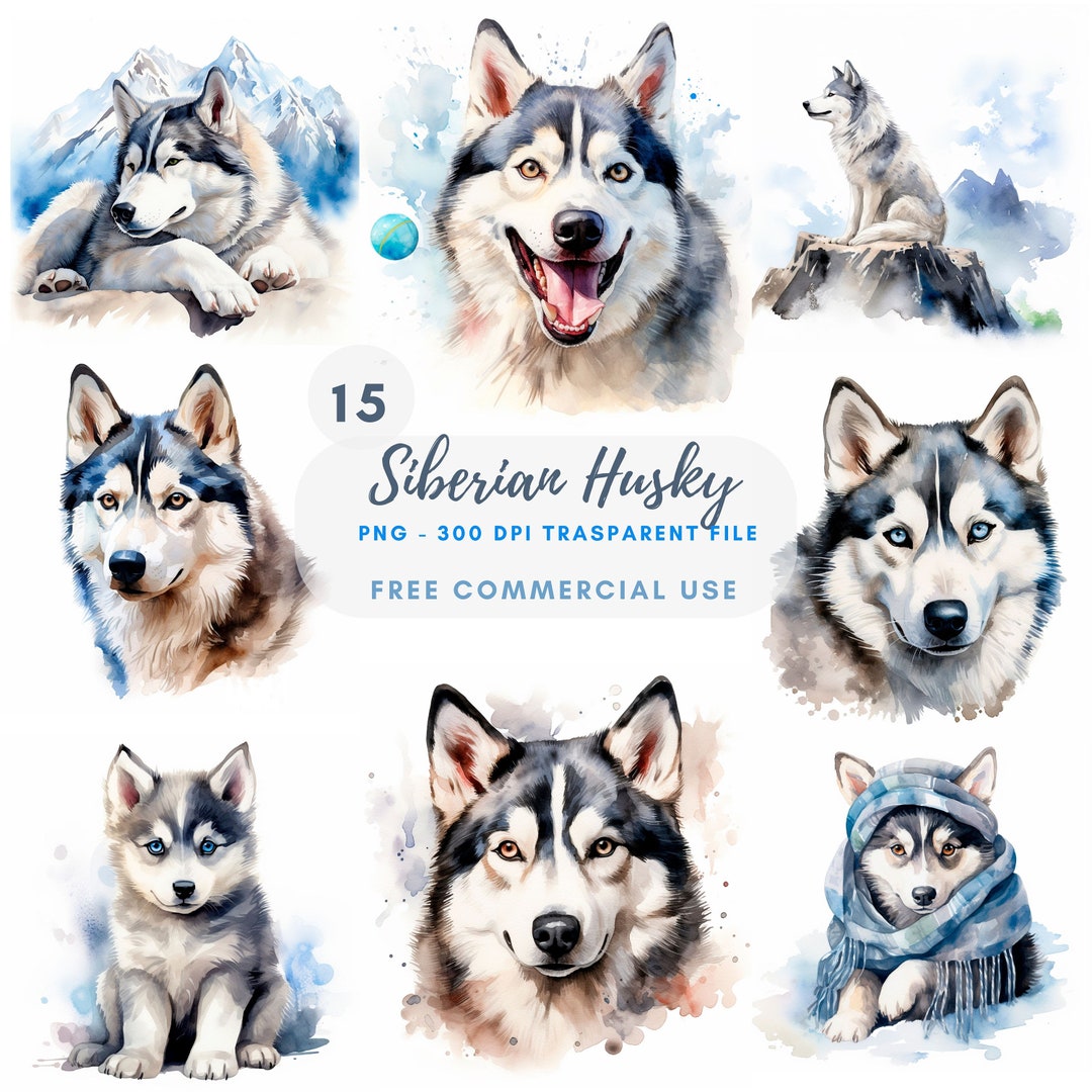 Siberian Husky Baby Dog Clipart PNG Bundle 15 High Quality,digital Download,printable Stickers ...