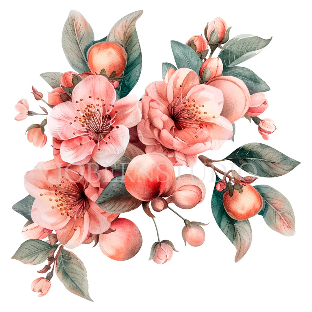 Peach Rose Branch Garland Clipart Bundle 11 High Quality, Watercolor ...