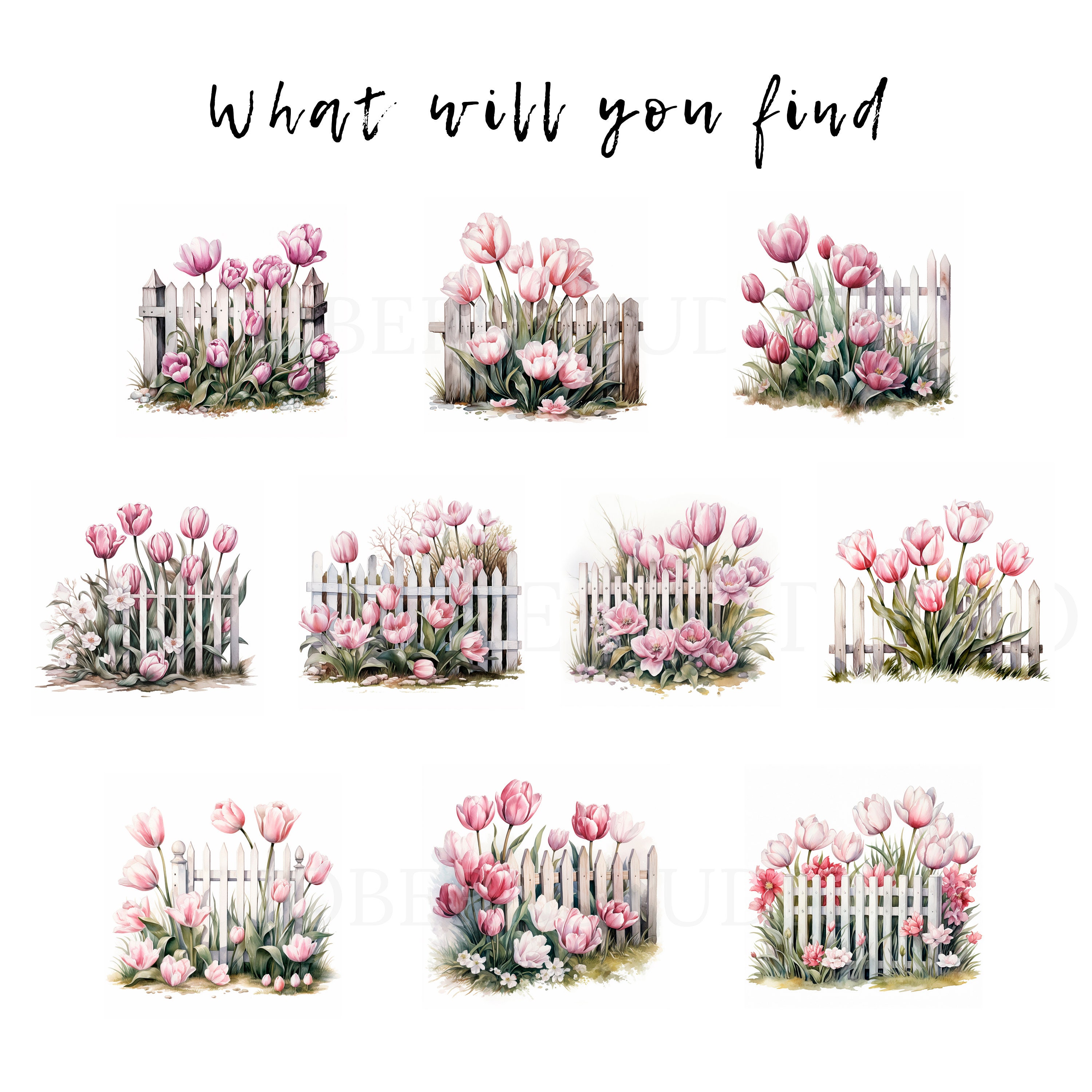 Tulips Flower Border Clipart Bundle 10 High Quality PNG, Watercolor ...