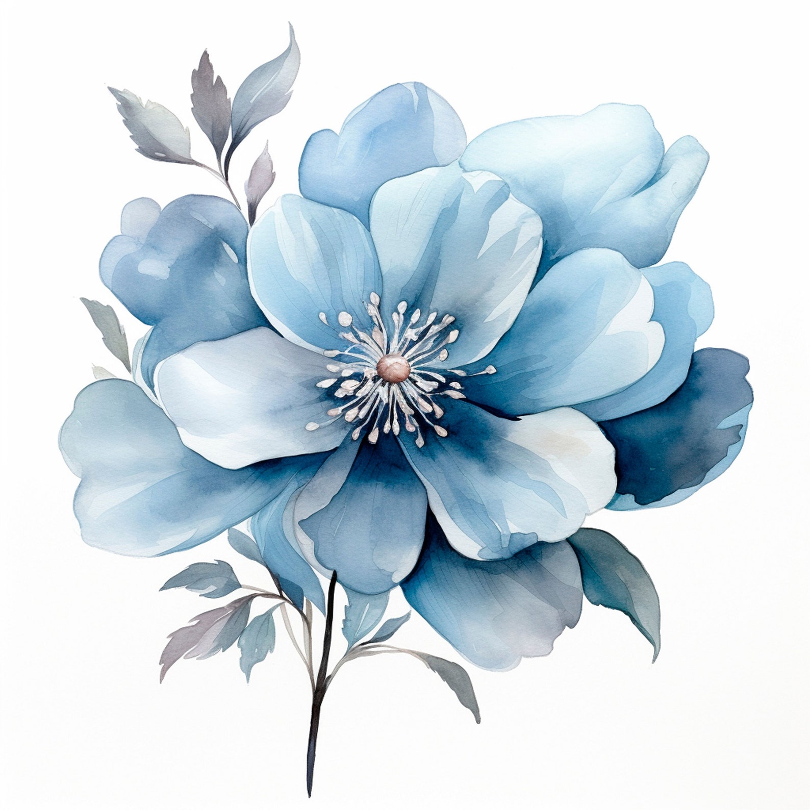 Blue Flower Clipart Bundle 10 High Quality PNG, Watercolor Floral ...