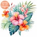 Tropical Garland Clipart Bundle 20 High Quality Png,watercolor Floral ...
