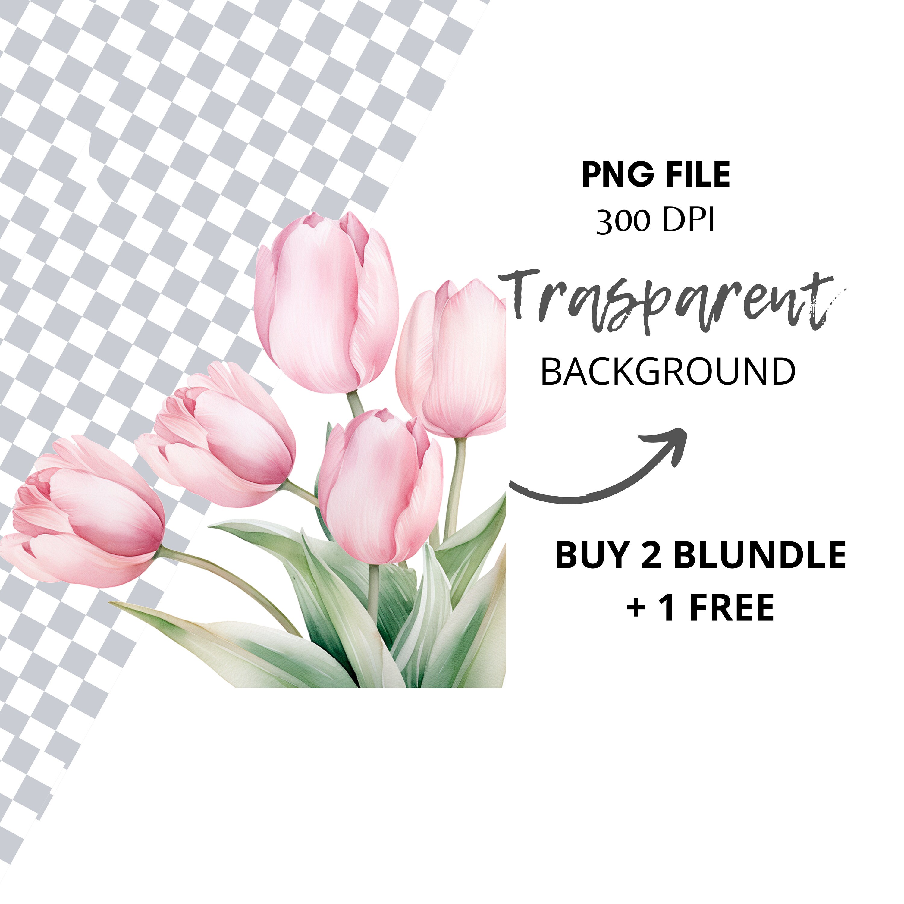 Tulips Flower Border Clipart Bundle 12 High Quality PNG, Watercolor ...