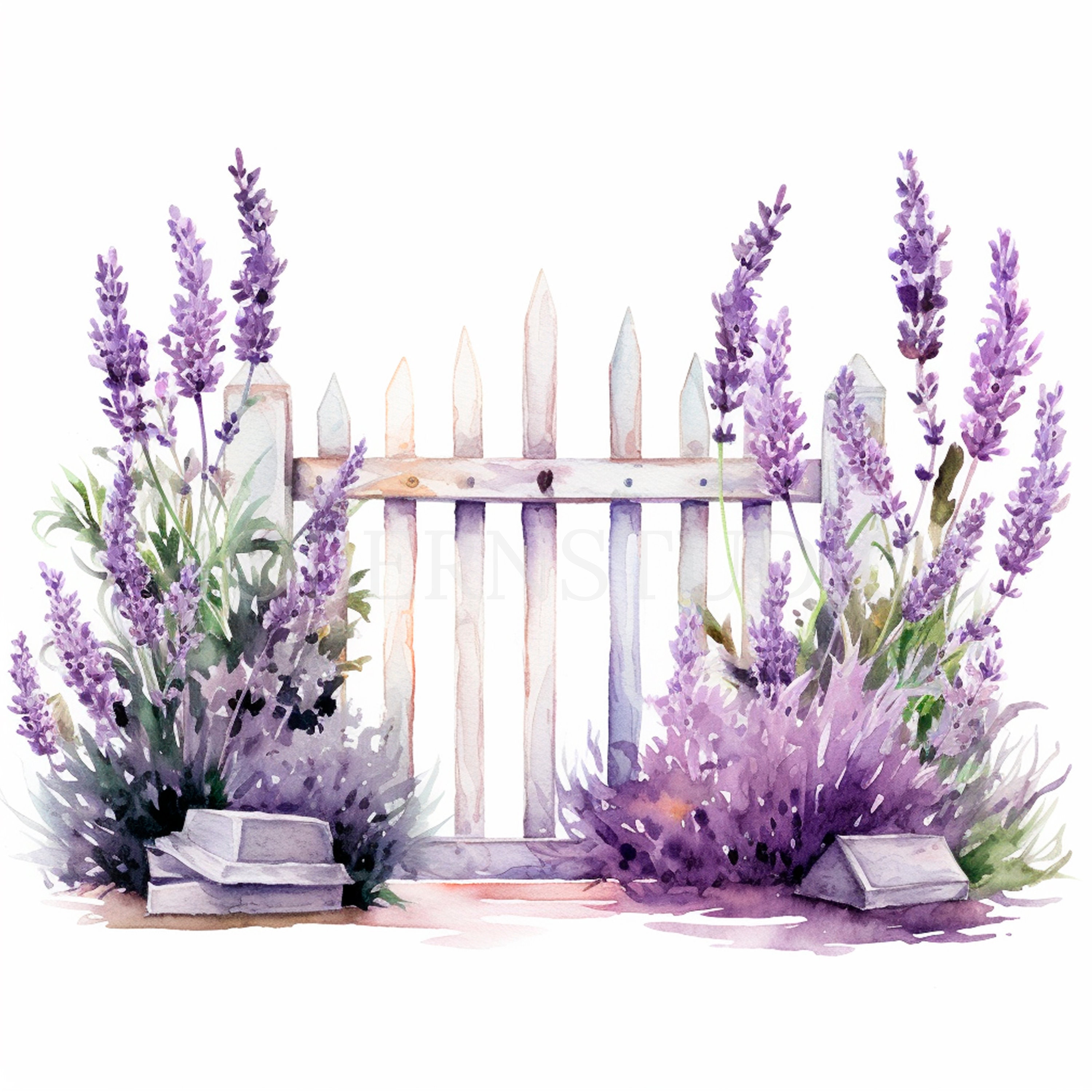 Lavender Clipart Bundle 17 High Quality Png,watercolor Flower Provence ...
