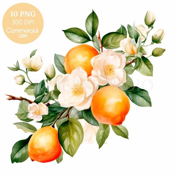 Roses Digital Paper - Etsy