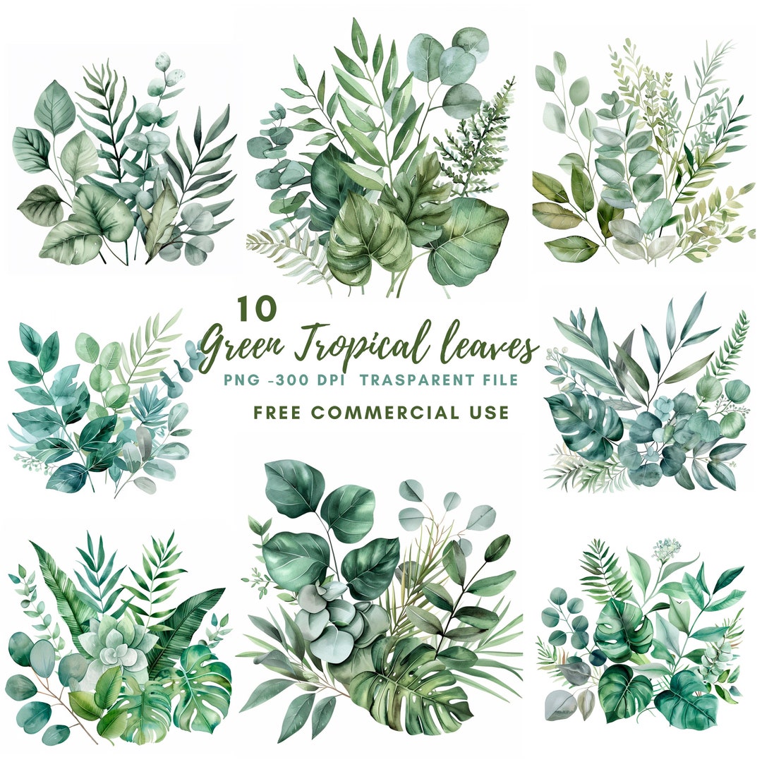Green Leaves Bouquet Clipart Bundle 10 High Quality Png,watercolor ...