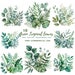 Green Leaves Bouquet Clipart Bundle 10 High Quality Png,watercolor ...