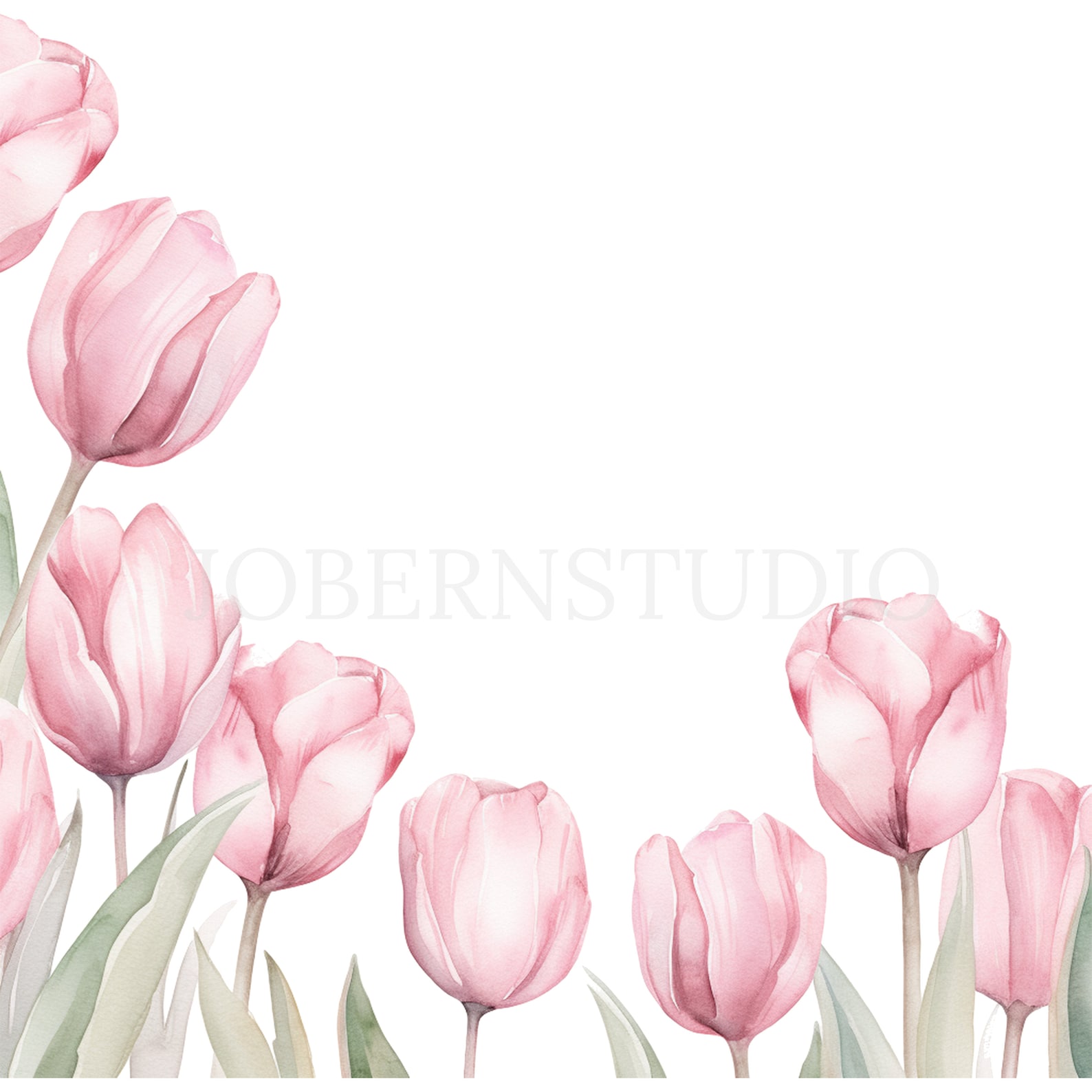 Tulips Flower Border Clipart Bundle 12 High Quality PNG, Watercolor ...