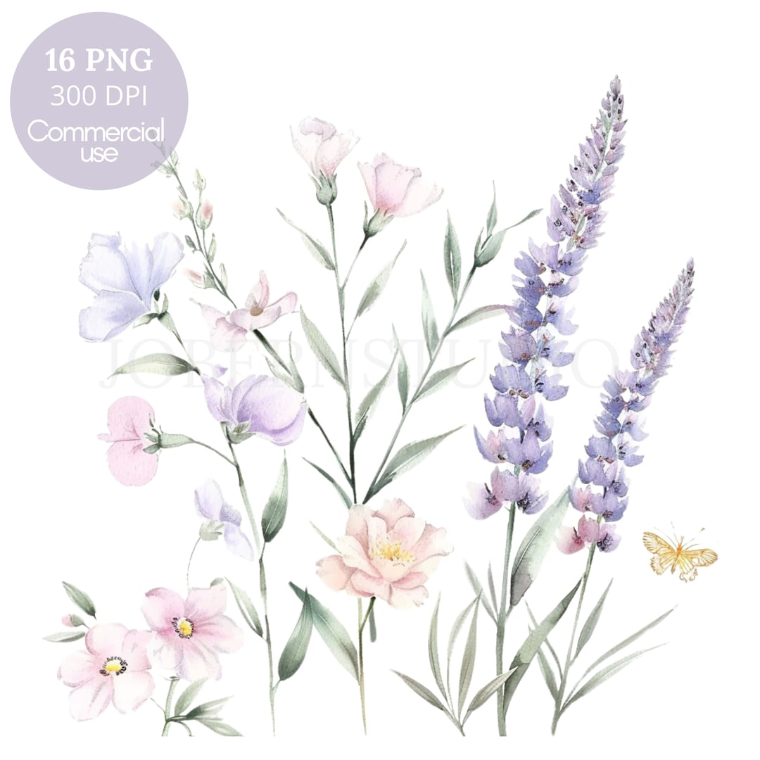 Muted Wild Flower Border Clipart Bundle 16 High Quality Png,watercolor ...