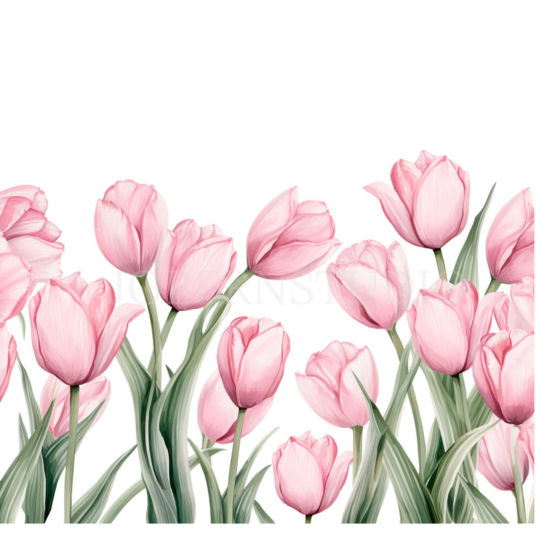 Tulips Flower Border Clipart Bundle 12 High Quality PNG, Watercolor ...