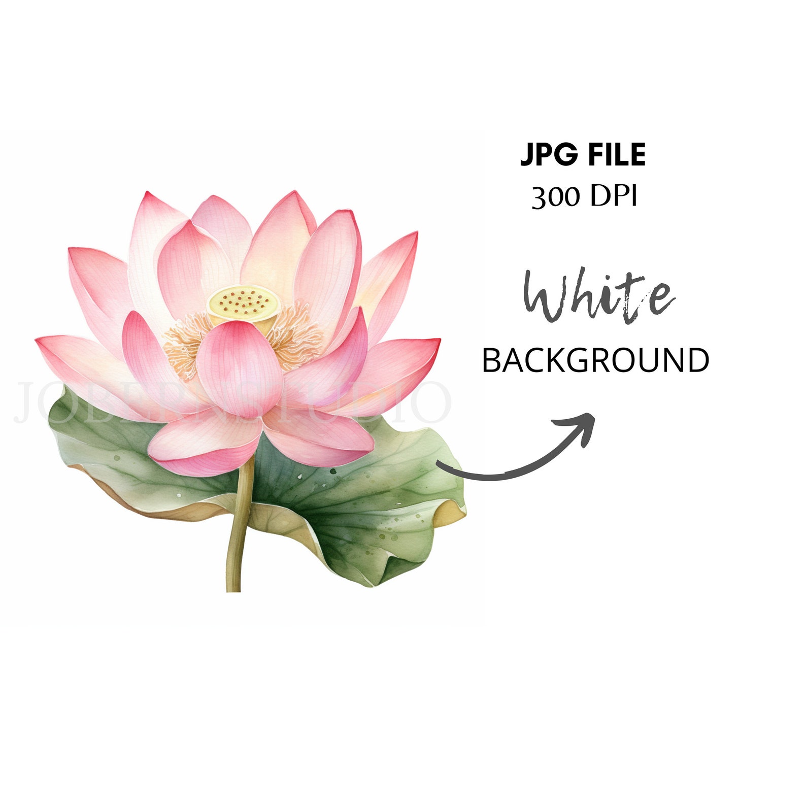 Lotus Flower Clipart Bundle 20 High Quality,watercolor Water Floral ...