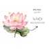 Lotus Flower Clipart Bundle 20 High Quality,watercolor Water Floral ...
