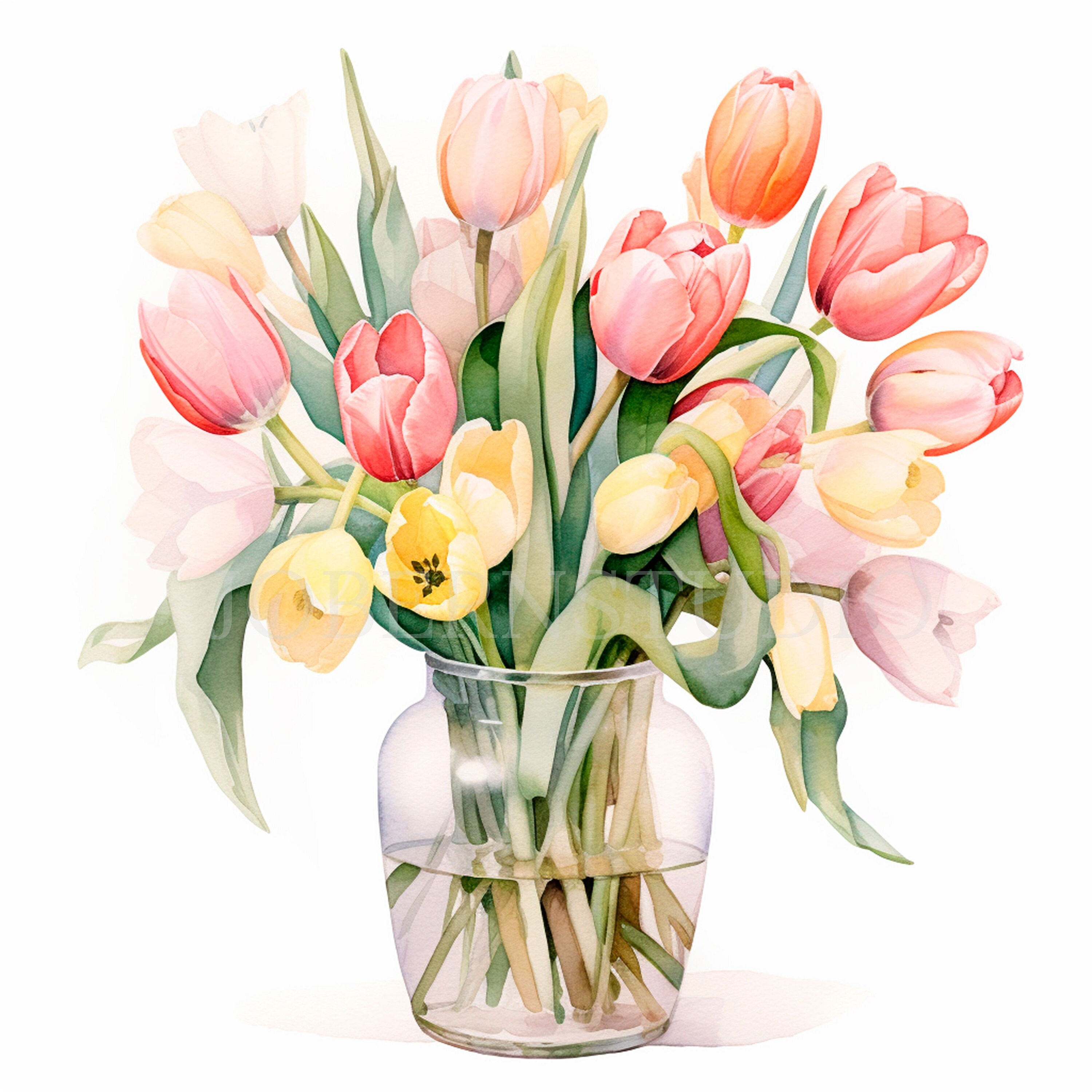 Tulips Flower Vase Clipart Bundle 12 High Quality PNG, Watercolor ...