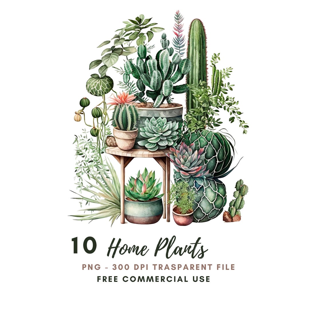 Plants Clipart Bundle 10 High Quality Png,watercolor Plants Home Decor ...