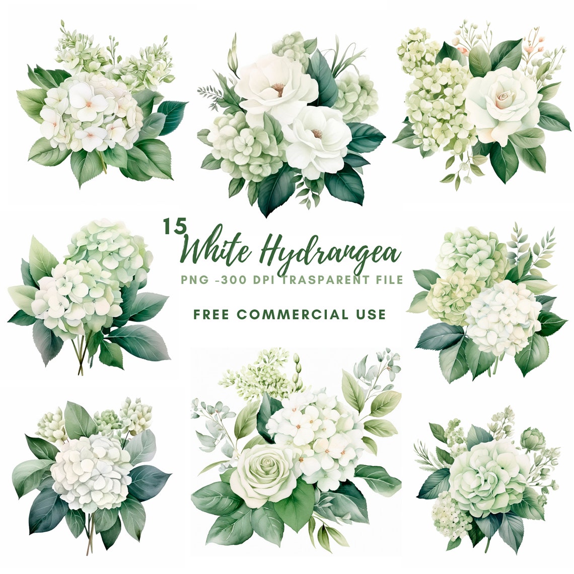 White Hydrangea Clipart Bundle 15 High Quality Png,watercolor Flower ...