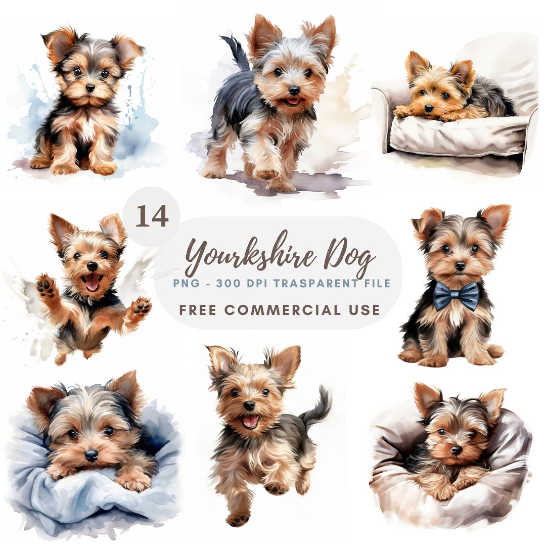 Yorkshire Puppy Dog Clipart PNG Bundle 14 High Quality, Watercolor Baby ...