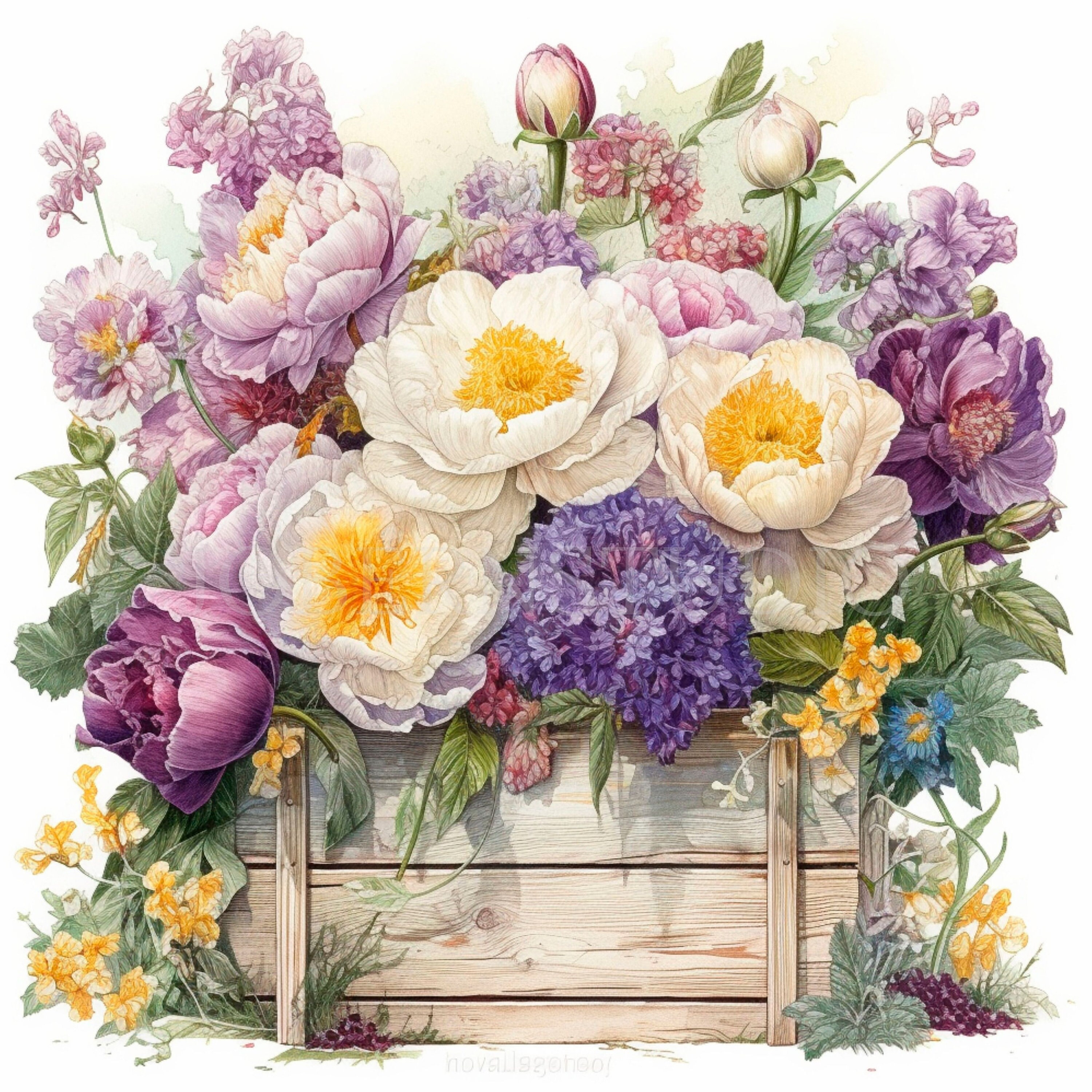 Box Flower Clipart Bundle 10 High Quality PNG, Watercolor Flower ...