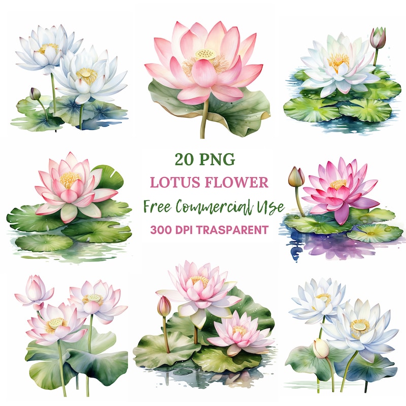 Lotus Flower Sticker - Etsy