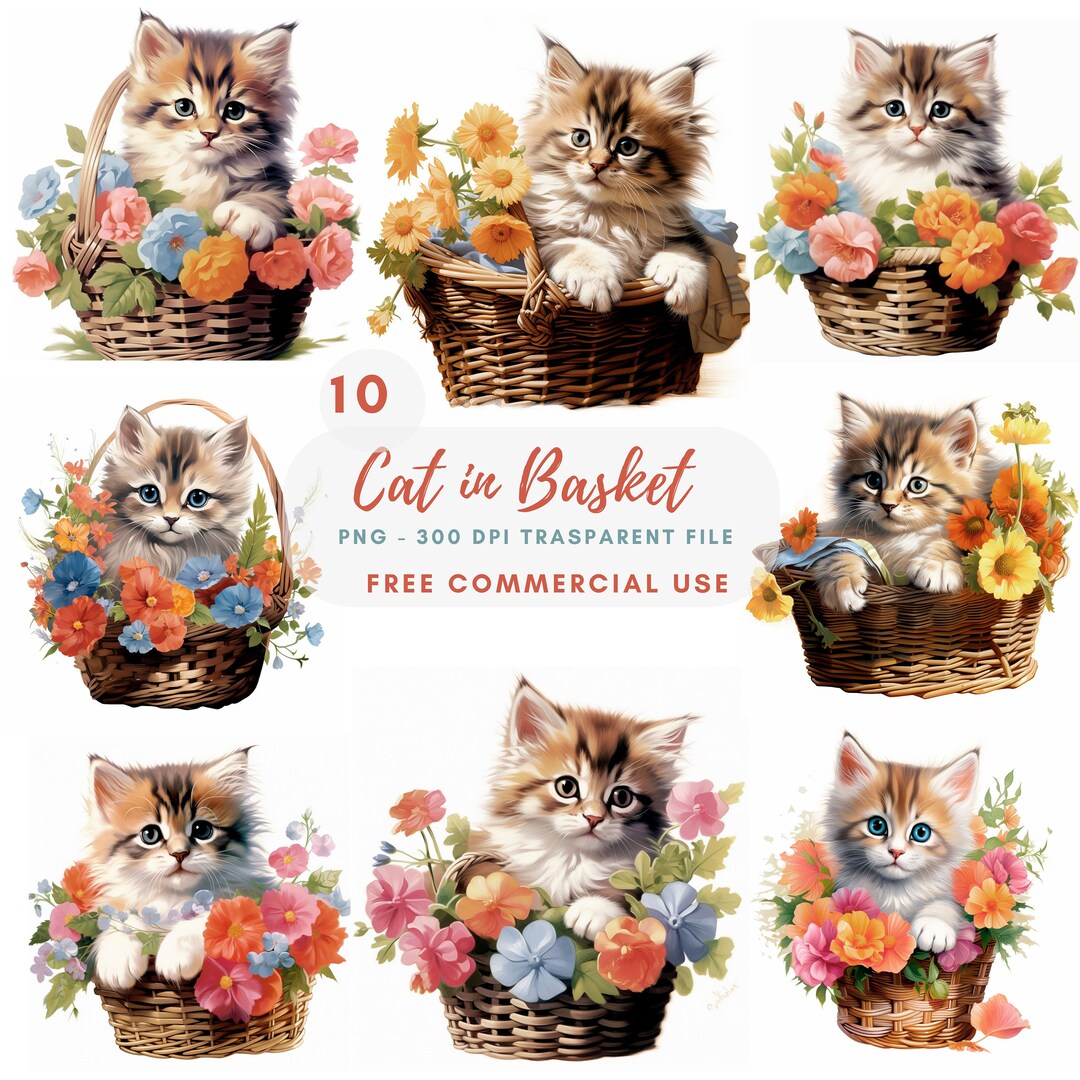 Cat and Flower Clipart PNG Bundle 13 High Quality JPG, Watercolor Funny ...