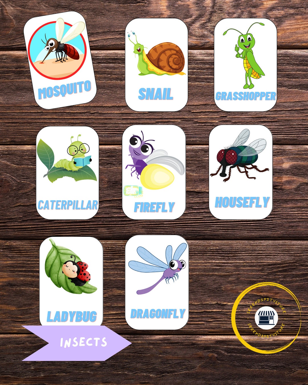 INSECTS Montessori Cards Flash Cards Nomenclature Flash Cards Pdf ...