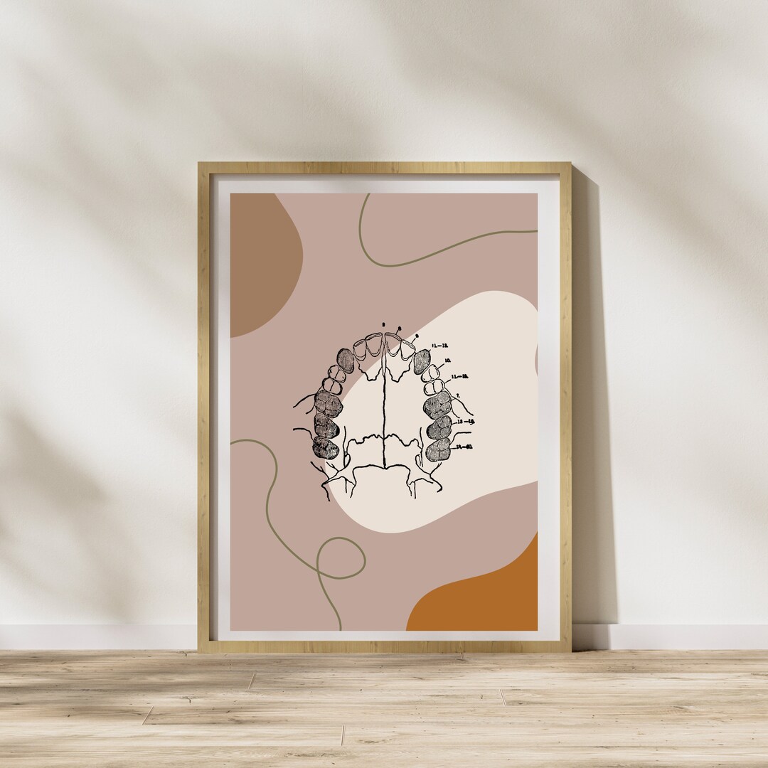 Boho Painting of Oral Structure, Mouth and Tooth, Dental Posters ...