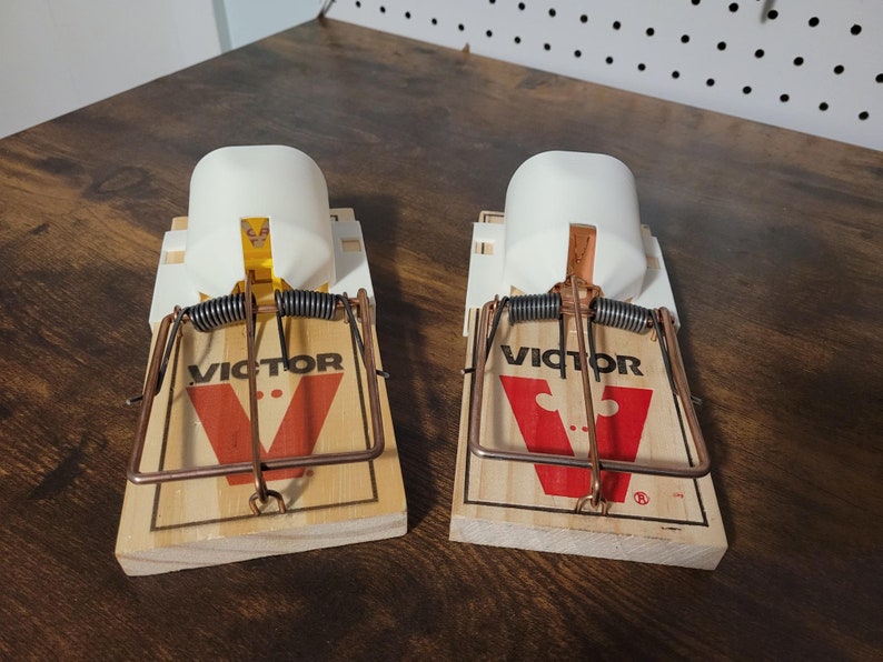 Victor Rat Trap Hood Guide Upgrade - Etsy