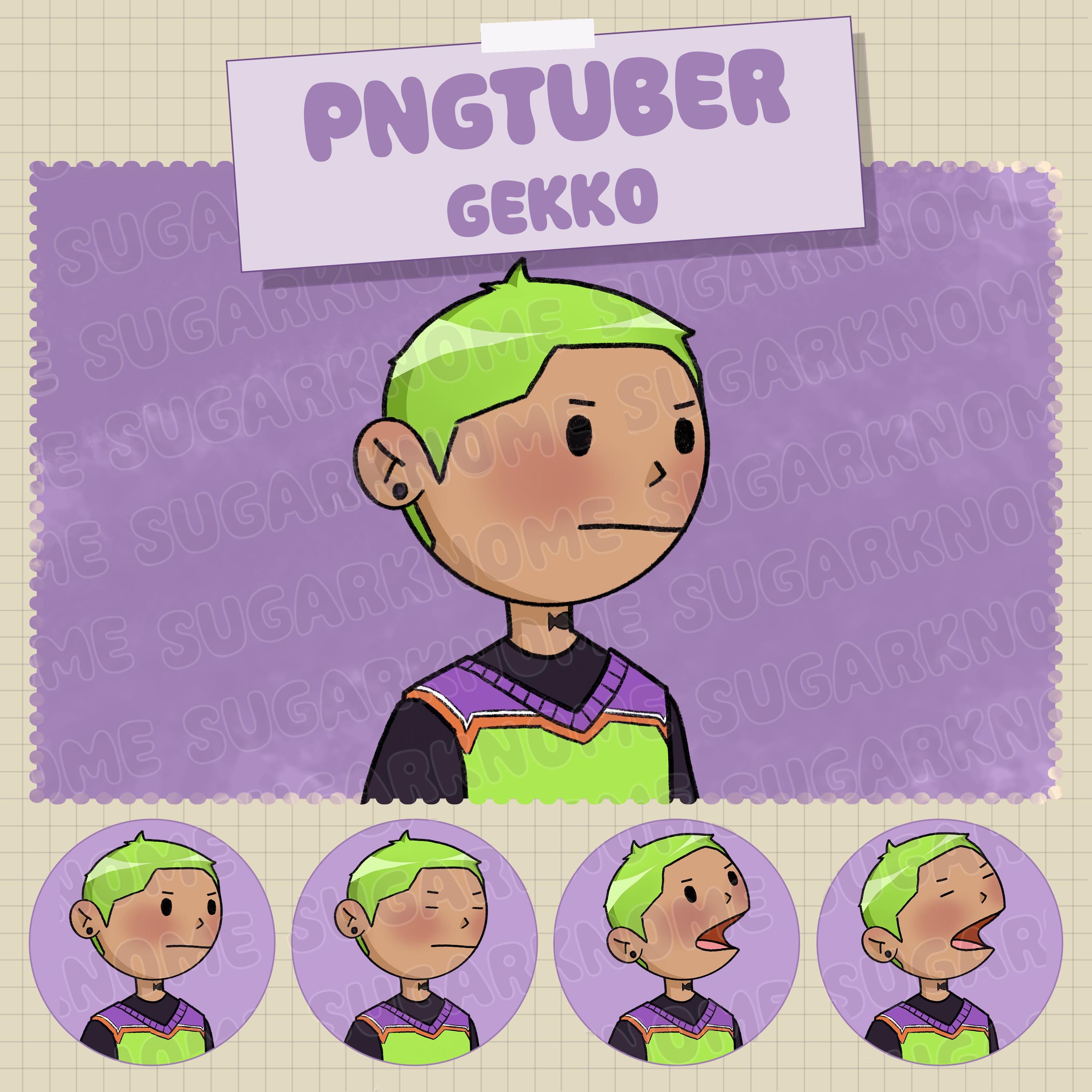 Gekko- VALORANT Pngtuber for Twitch, Youtube, Discord - Etsy