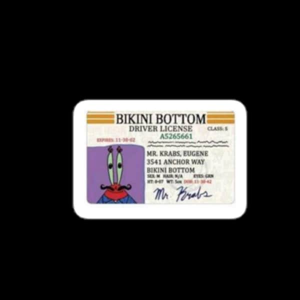 Spongebob License Sticker - Etsy