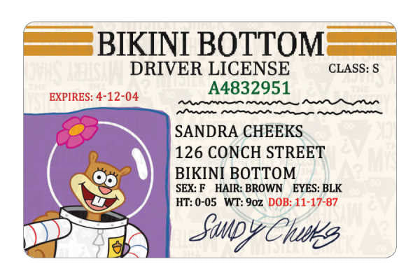 Sandy Cheeks License - Etsy
