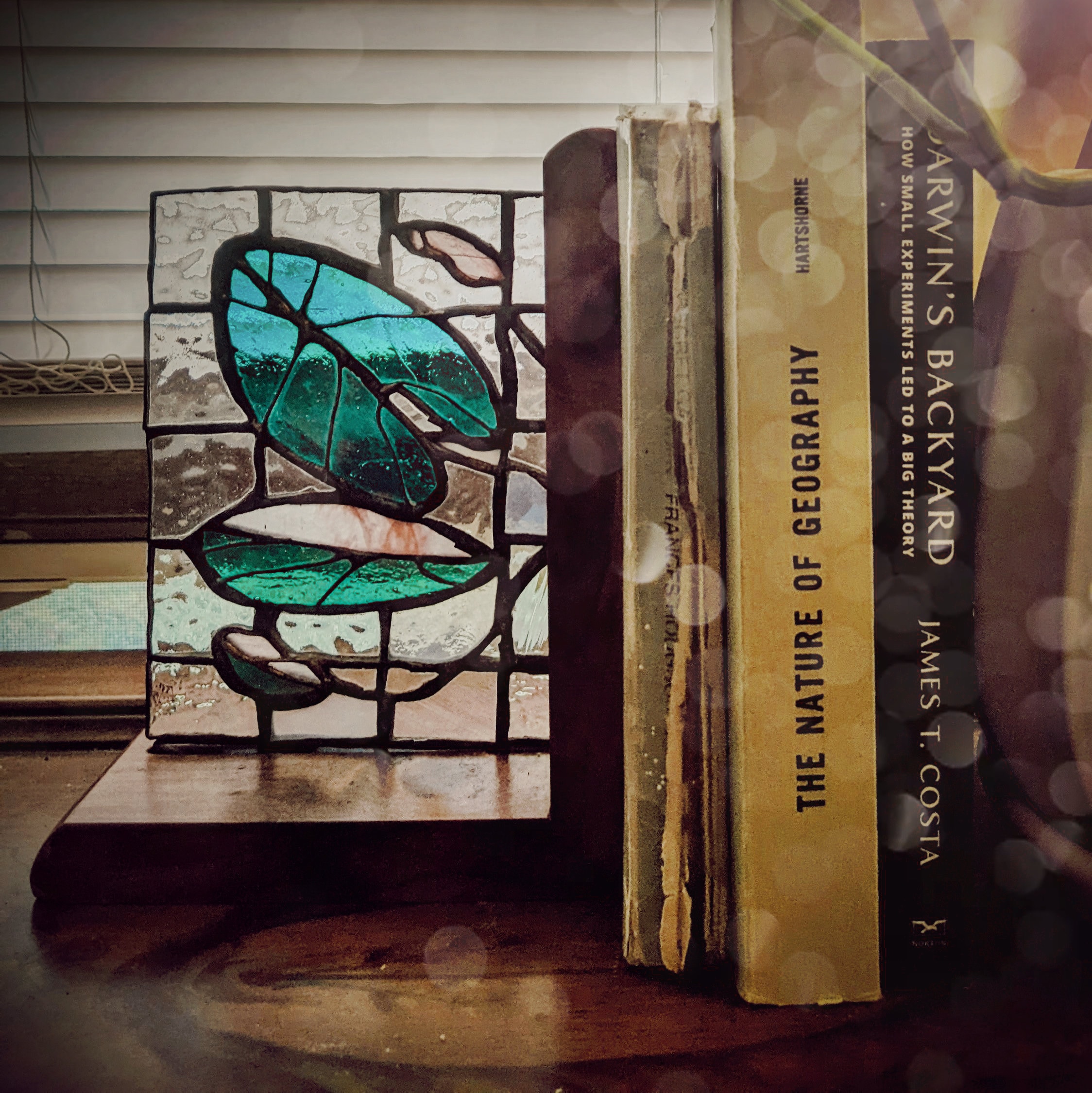 Stained Glass Pattern, Digital Download Leaf Bookend Beginner to ...