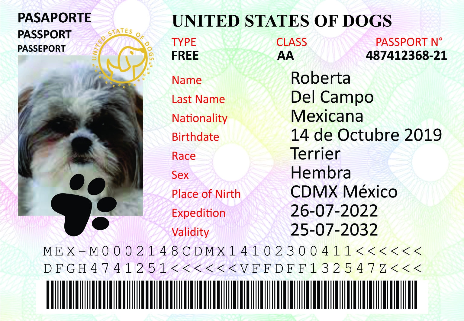 Cómo Obtener Un Pasaporte Para Mascotas Para Un Buhund Noruego En Santa ...
