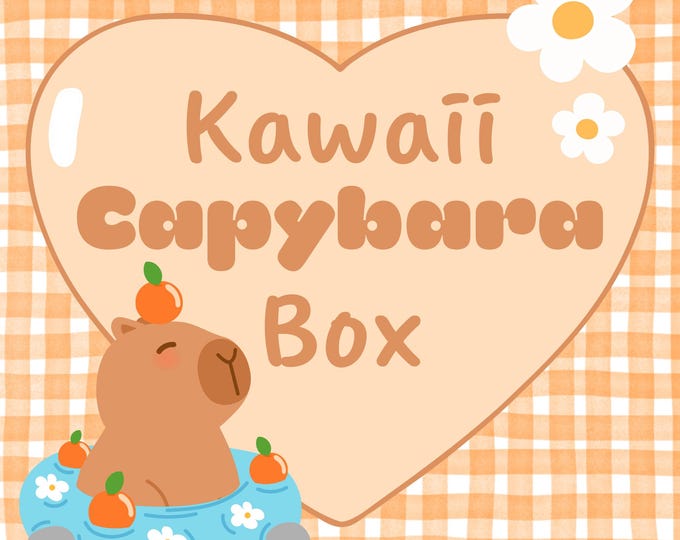 Kawaii CAPYBARA Surprise Box Stuffed With 50 Items, Plus Bonus Freebies ...