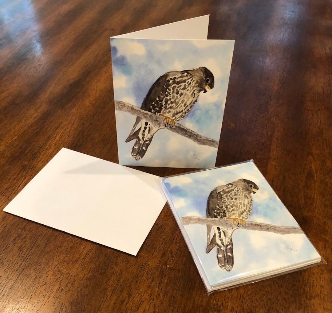 Pigeon Hawk I Pack of 5 Greeting Cards - Etsy