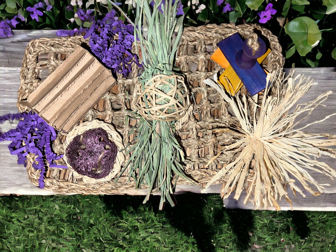 Small Pet Sea Grass Forage Activity Mat | All Natural Chew Toy | Bunny ...