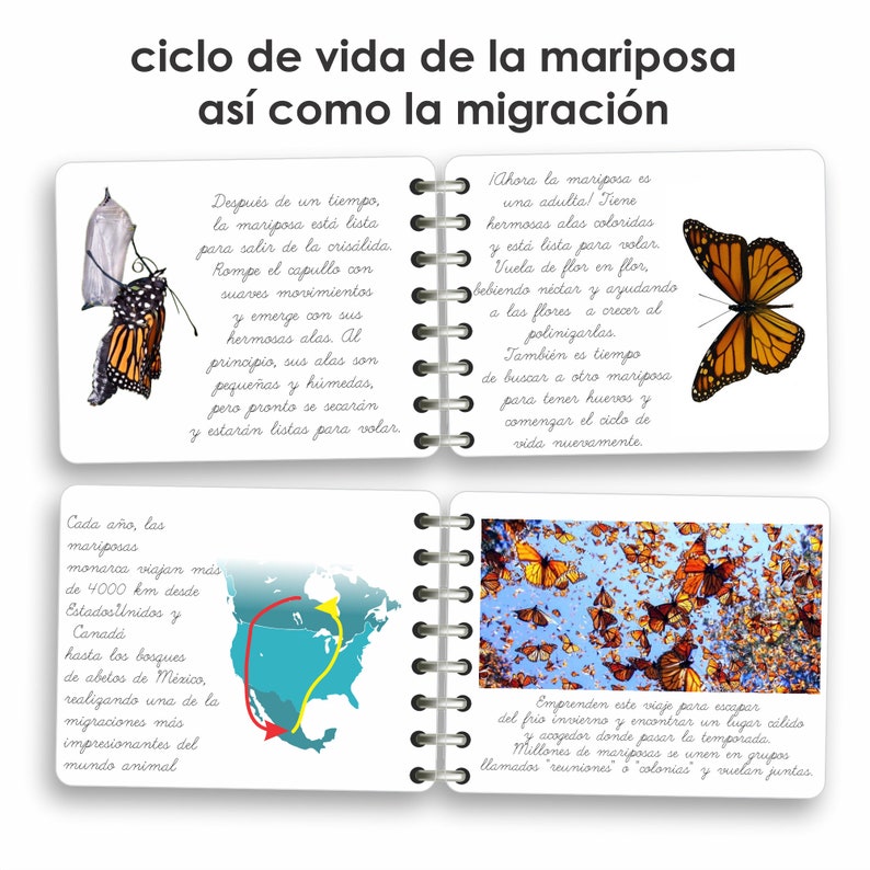 Monarch Butterfly, Monarch Butterfly Life Cycle and Migration Book ...