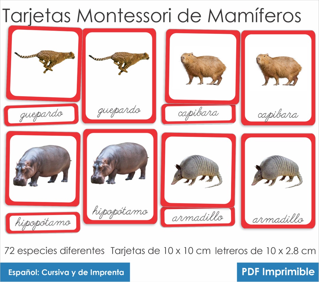 Montessori Mammal Cards, Printable Montessori Materials, Printable ...