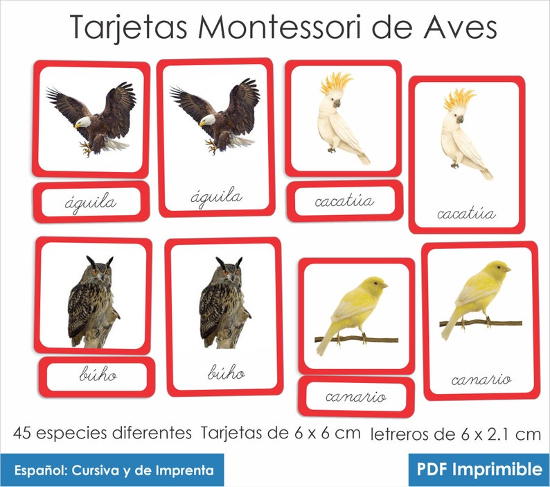 Montessori Bird Cards, 45 Different Birds on Three Part Montessori ...