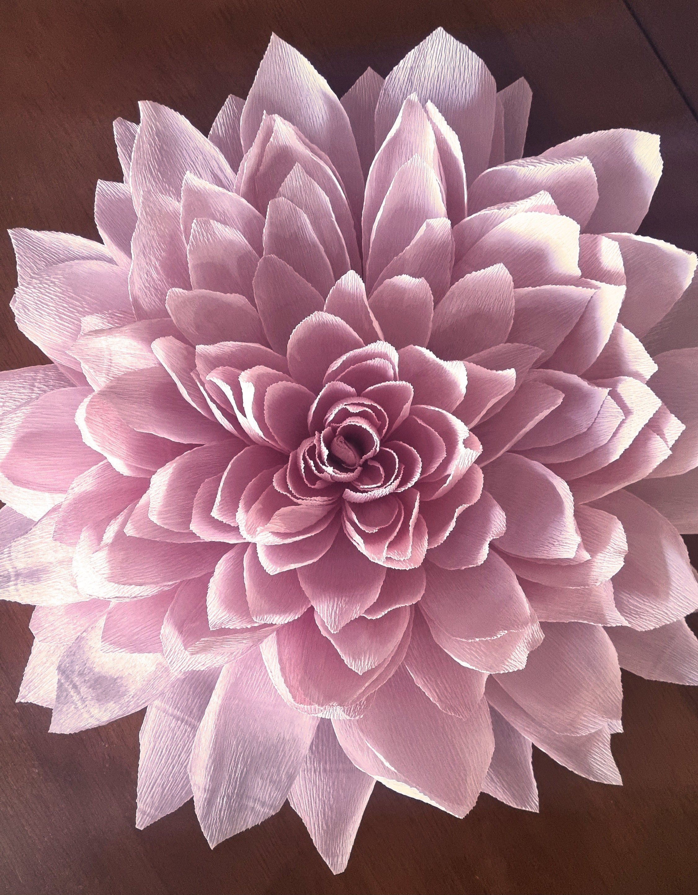 Paper Flower Dahlia Giant Crepe Paper Flower Giant Flower - Etsy Australia