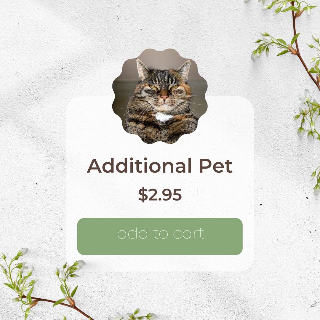 ADDITIONAL Pet ADD ON Add to Cart - Etsy