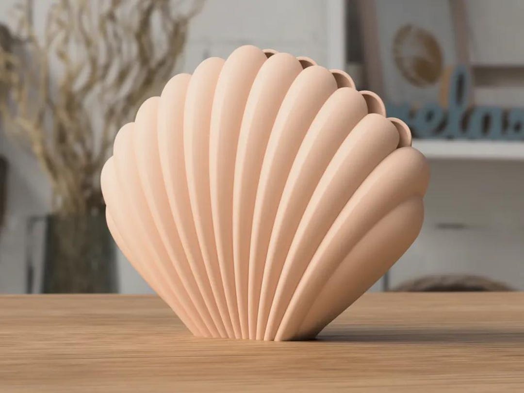 Seashell Vase – Coastal Modern Shell-shaped Vase for Dried Flowers ...