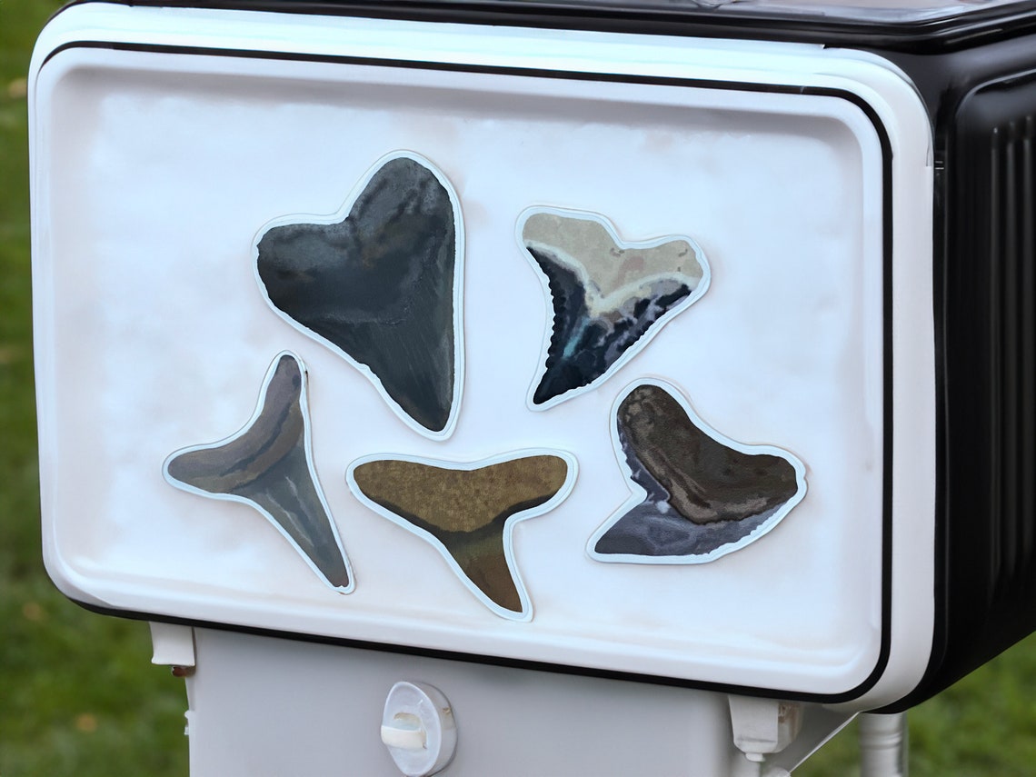 Vinyl Waterproof Shark Tooth Stickers - Etsy
