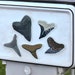 Vinyl Waterproof Shark Tooth Stickers - Etsy